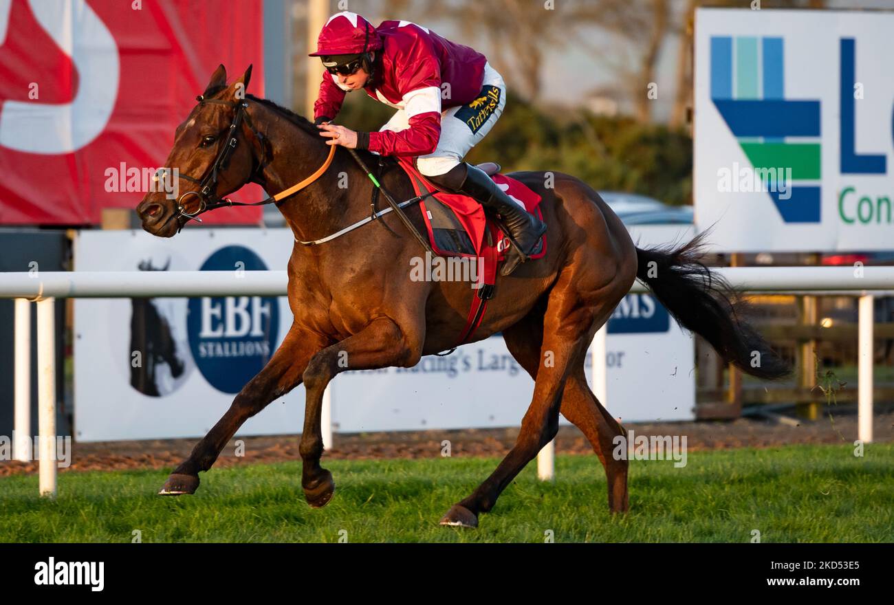 Belfast, UK. 5th November 2022.. King Of Kingsfield and Mr Jamie Codd ...
