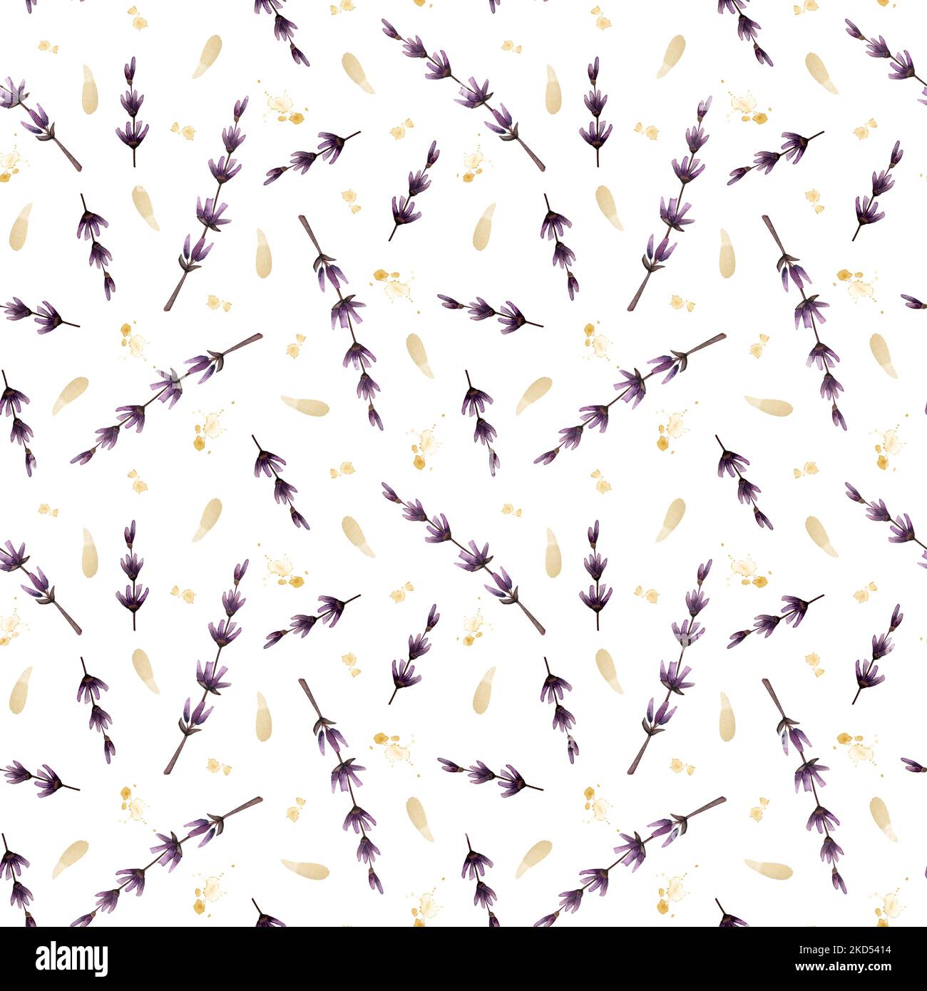 Watercolor seamless pattern with Lavender flowers on white background ...
