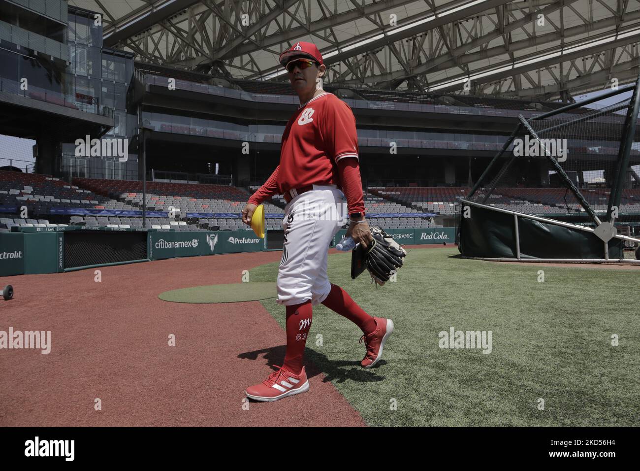 Harp helu stadium hi-res stock photography and images - Alamy