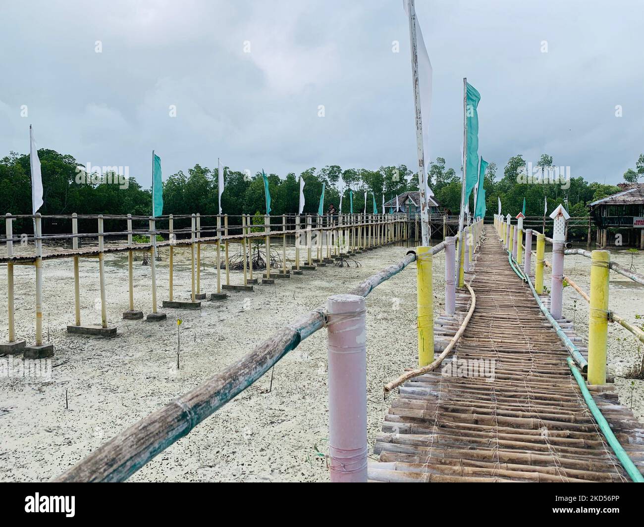 The two bamboo bridges over a sandy beach in Bantayan Island ...