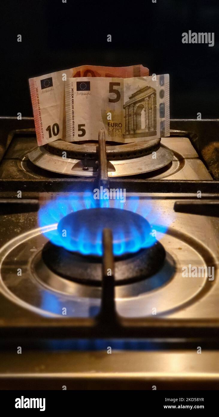 Vertical Picture Gas stove burning with euro money Stock Photo - Alamy