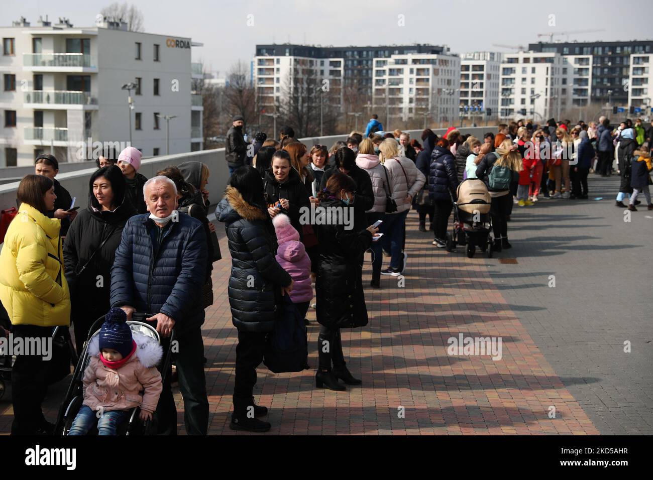 Pesel national identification number hi-res stock photography and ...