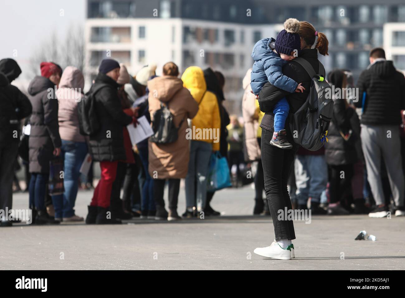 Pesel national identification number hi-res stock photography and ...