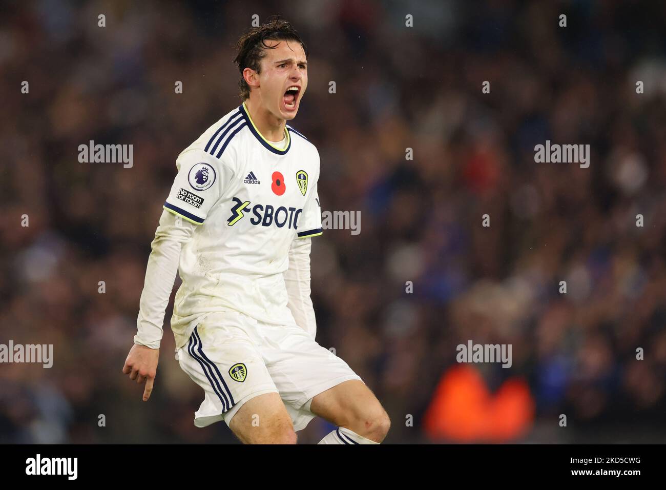 Brenden aaronson leeds hi-res stock photography and images - Alamy