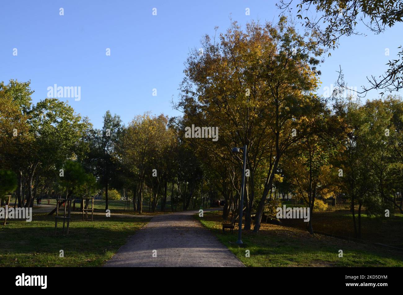 Autumn Time, Green Trees, Forest Road and Blue Sky. Istanbul Turkey ...