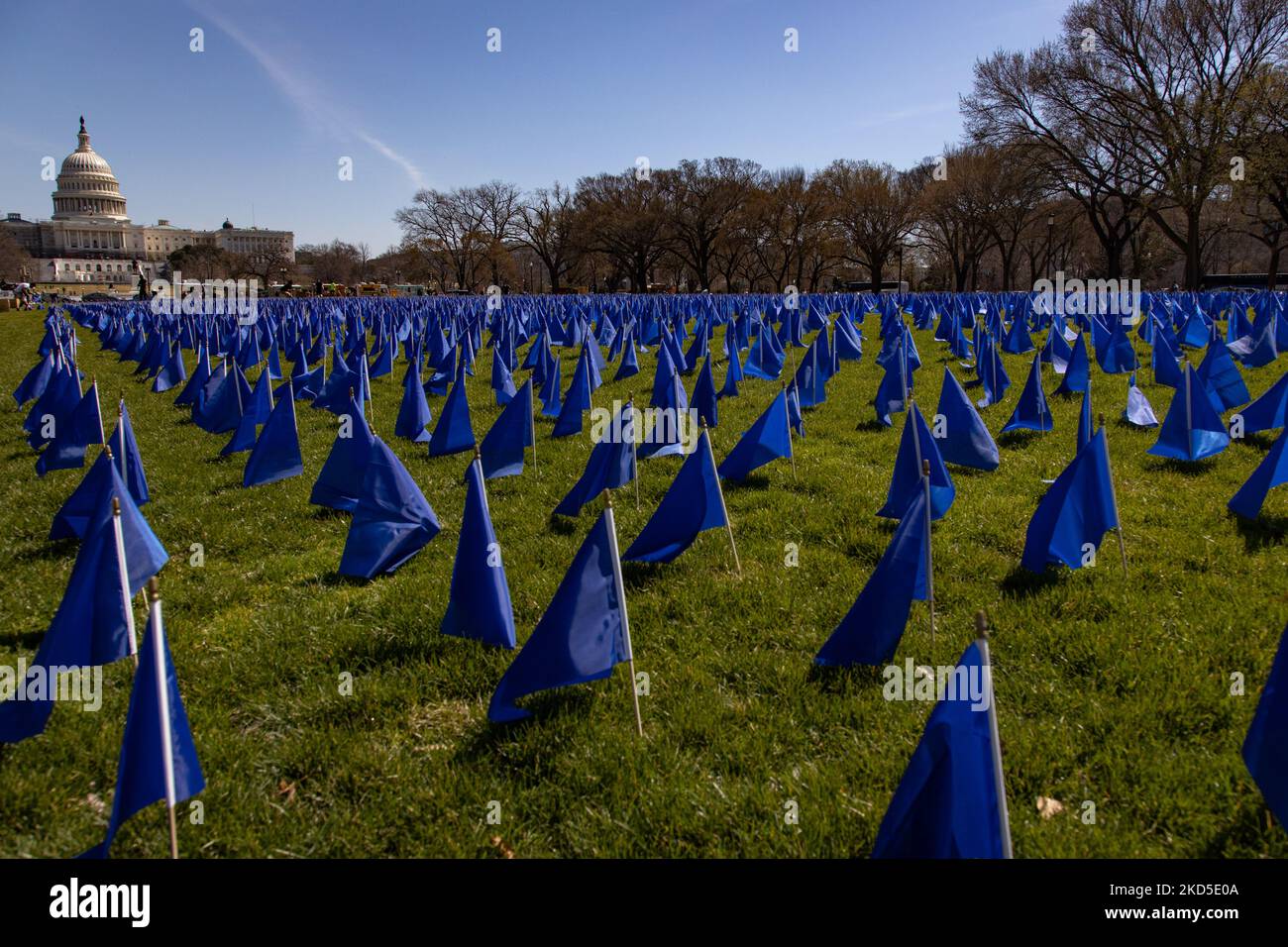 Blue flags are seen on the National Mall in Washington, D.C. on March ...