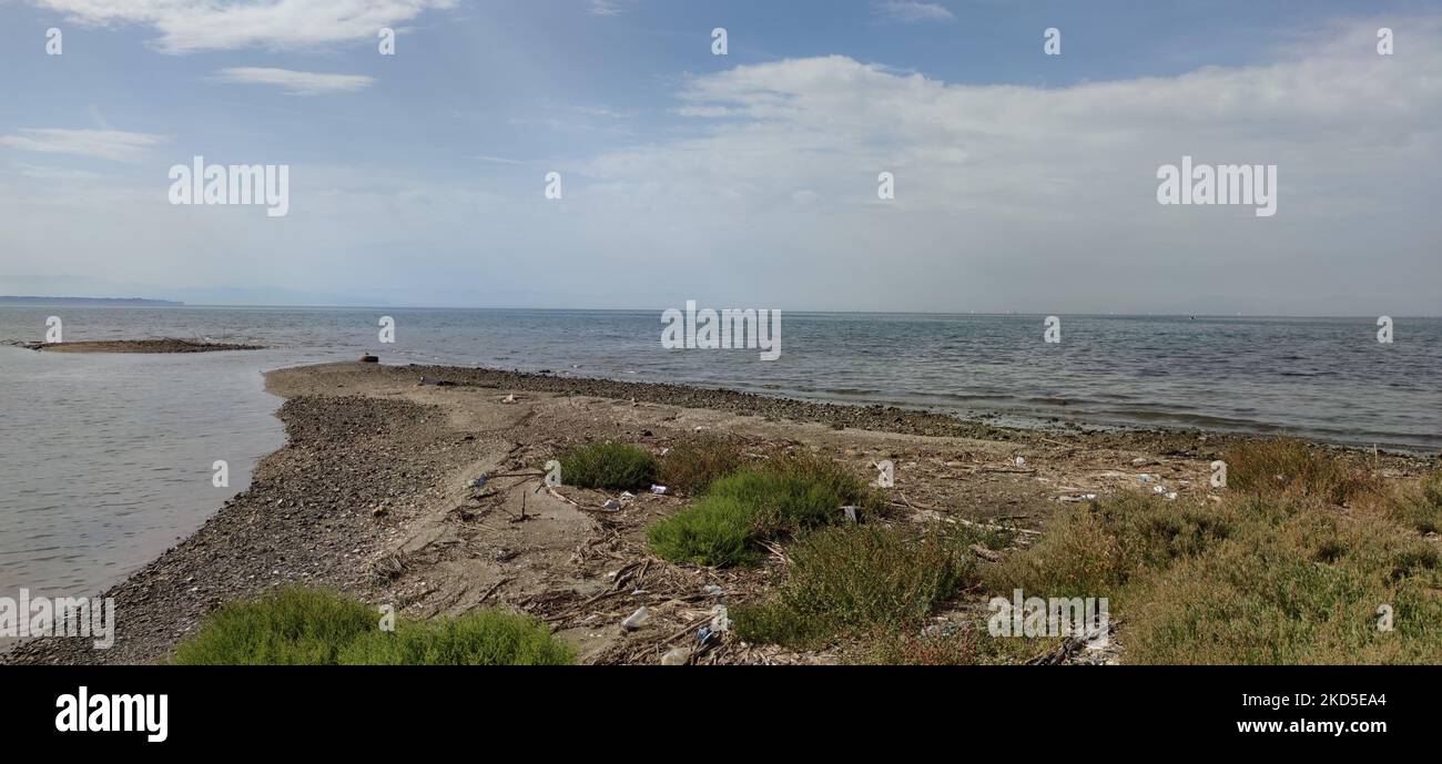 A wide shot of a shore with green and dry bushes, stones, soil with a ...