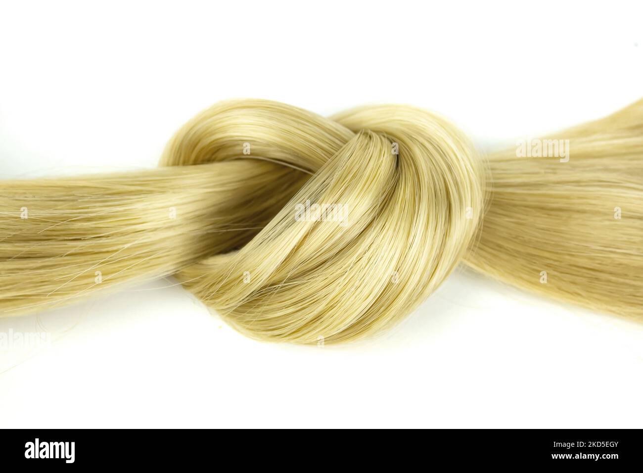 Blond natural hair on white background. Strand of honey blonde hair ...