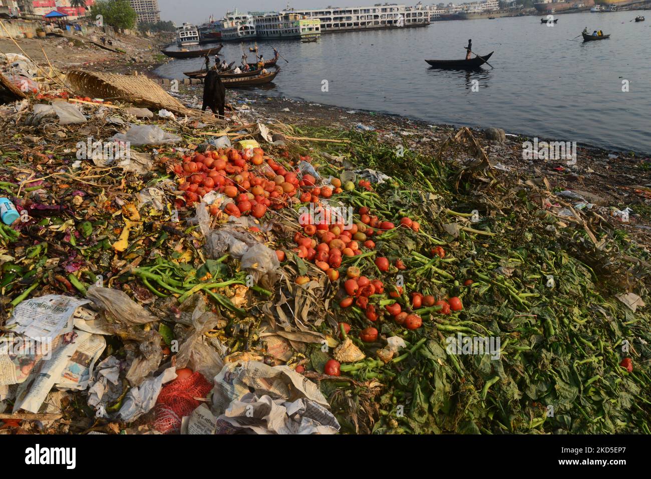 Water Pollution Humans