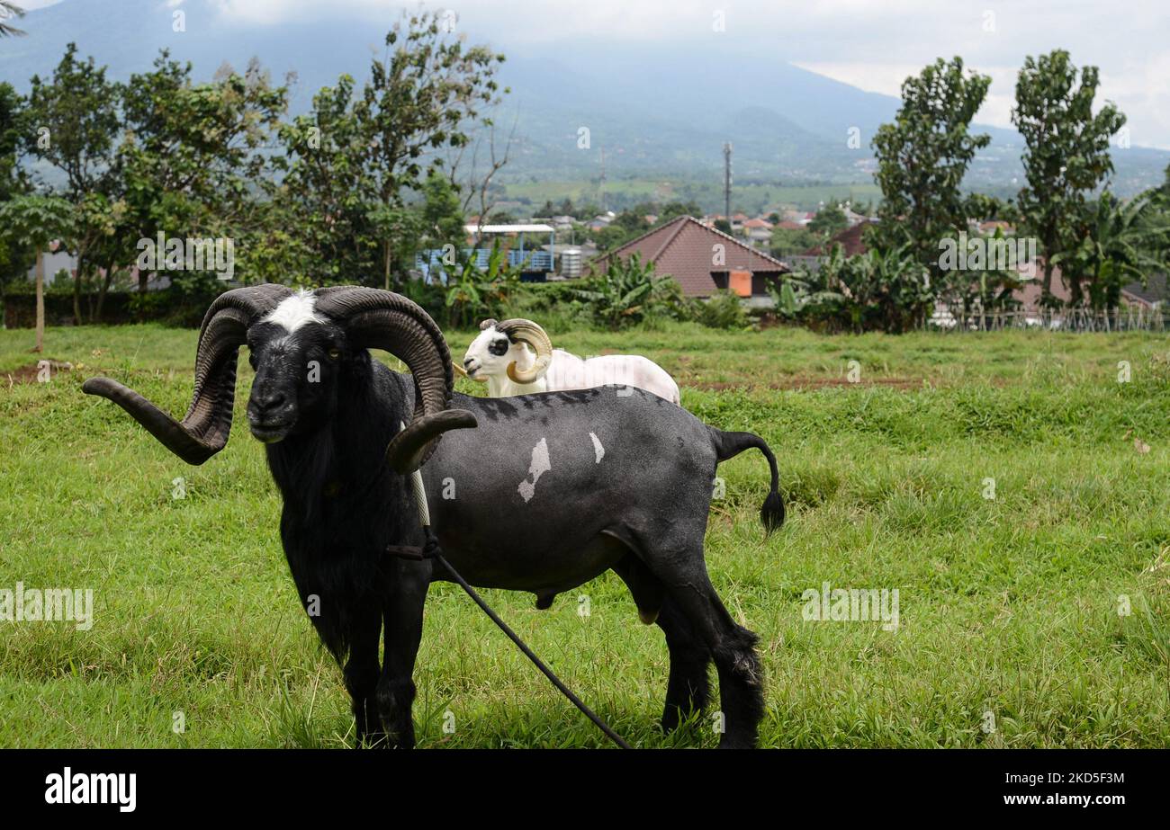 Nmurphoto hi-res stock photography and images - Alamy