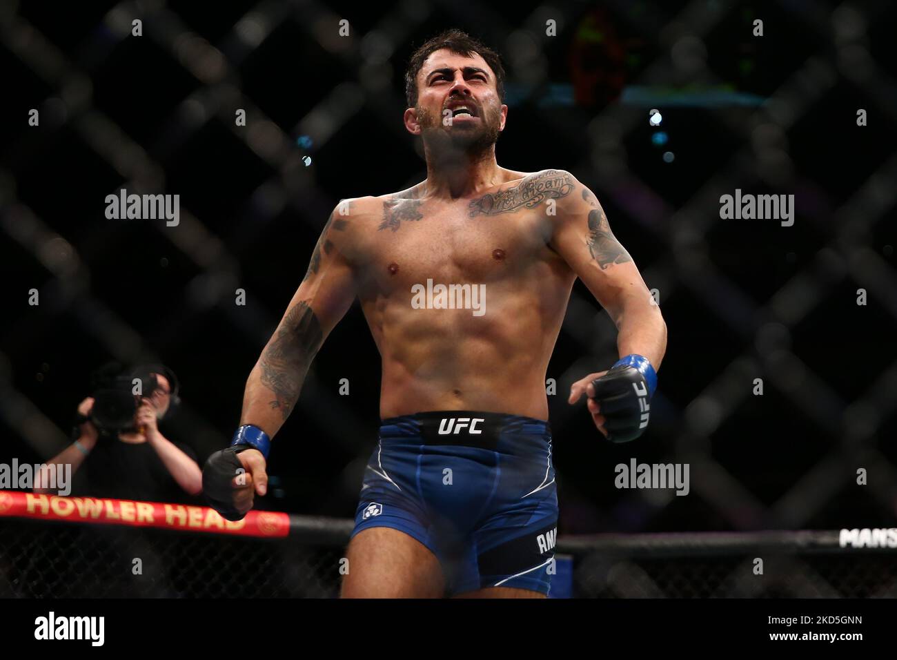 Anaconda photo hi-res stock photography and images - Alamy