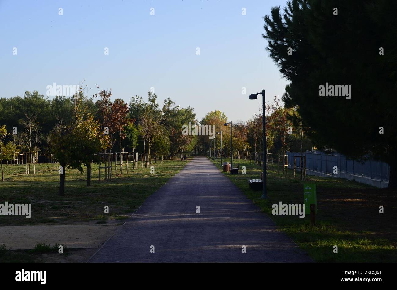 Autumn, forest road, green trees, grass and blue sky. Istanbul Turkey ...