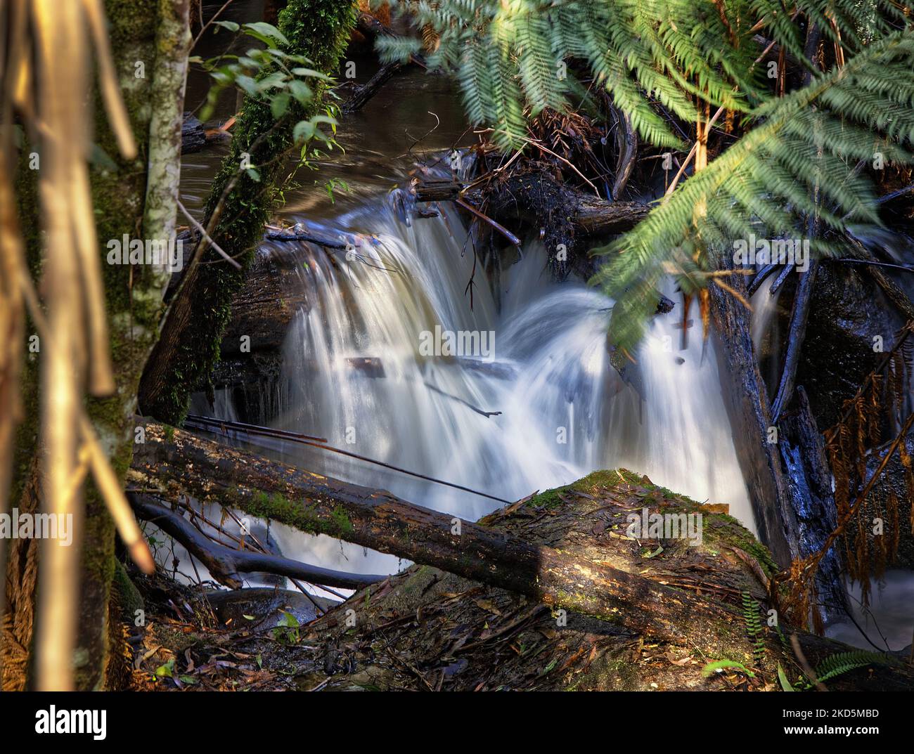 A long exposure shot of the flowing river water in the green forest Stock Photo - Alamy