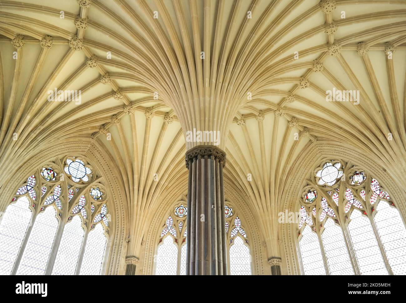 Wells cathedral vaulted ceiling hi-res stock photography and images - Alamy