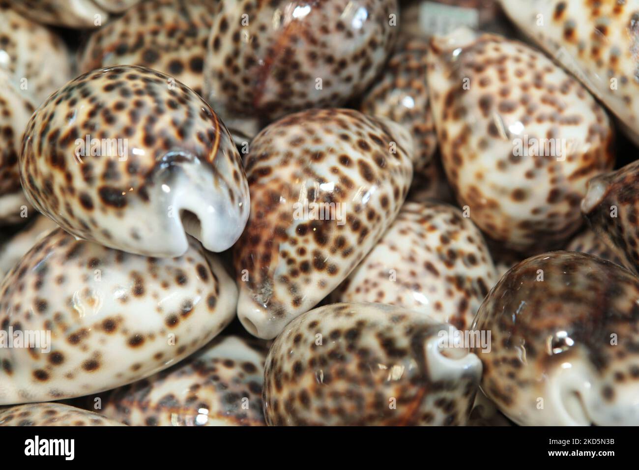 Hawaiian souvenirs hi-res stock photography and images - Alamy