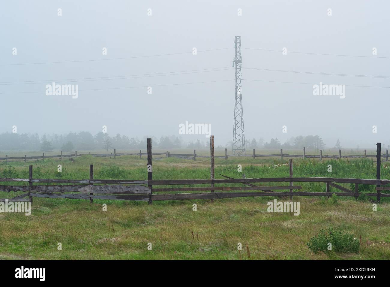 Paddock pen hi-res stock photography and images - Alamy