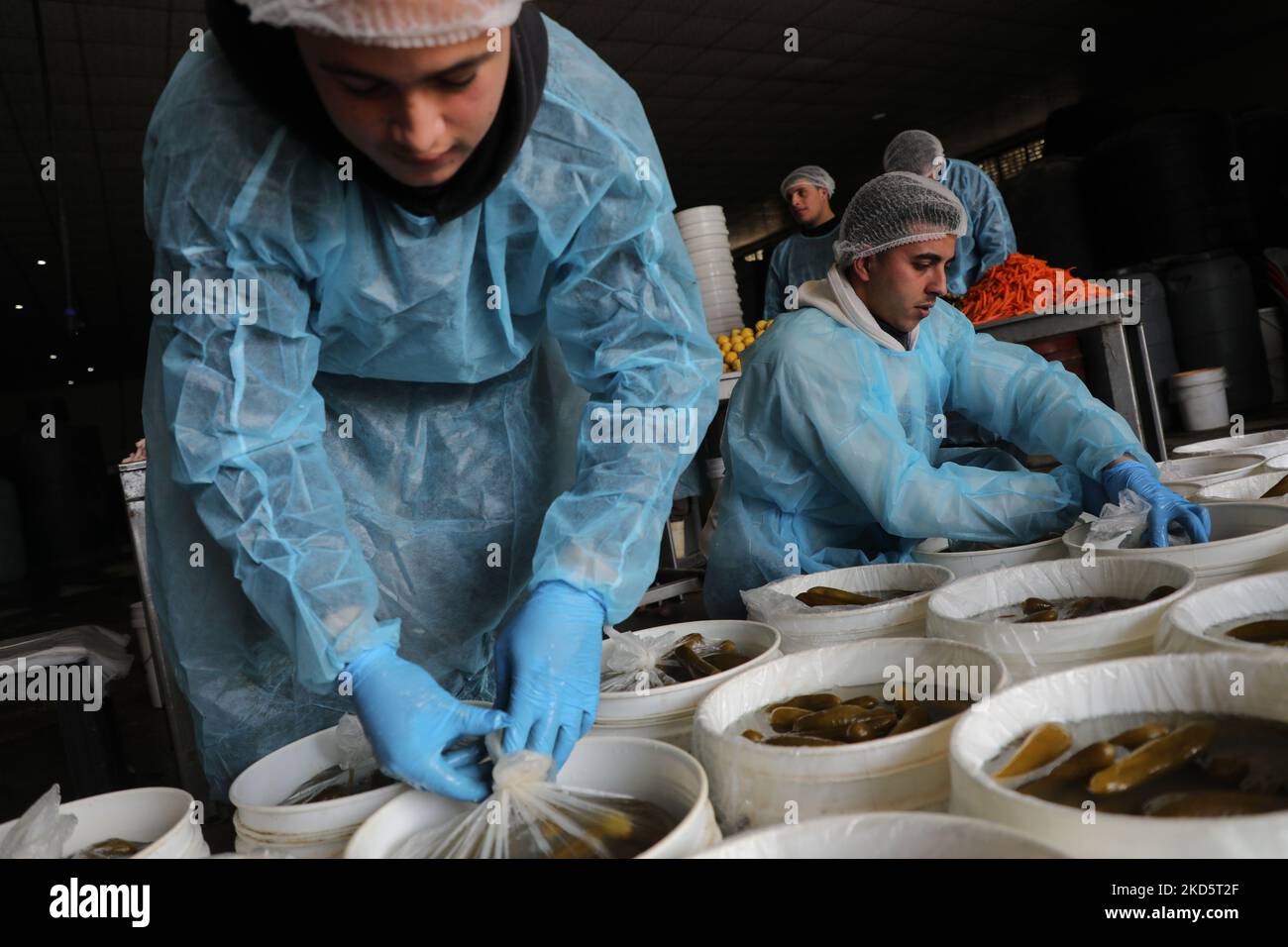 Palestinian workers display pickles to be sold in preparation for ...