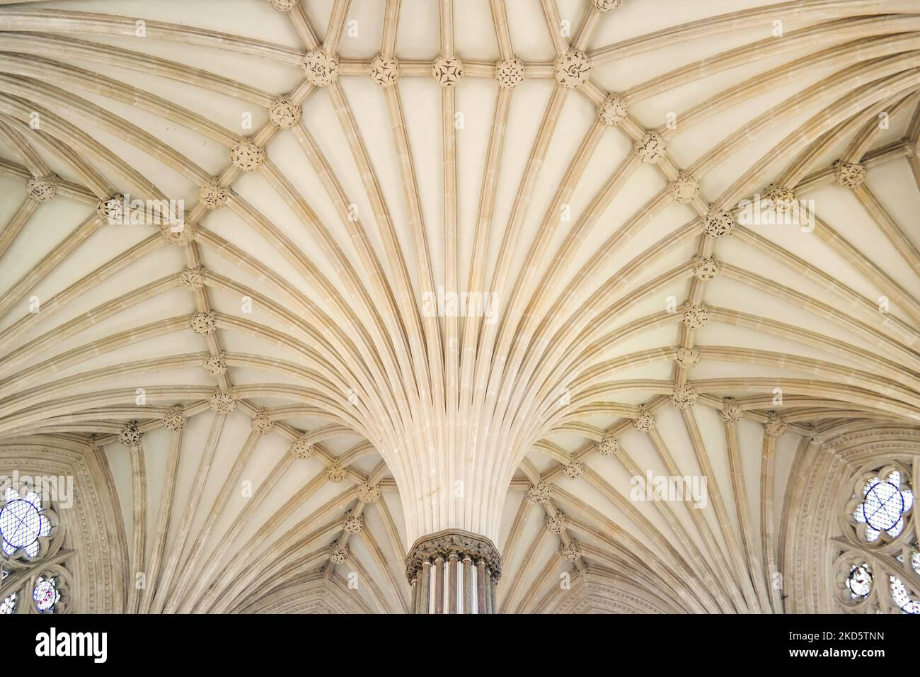 Wells cathedral vaulted ceiling hi-res stock photography and images - Alamy
