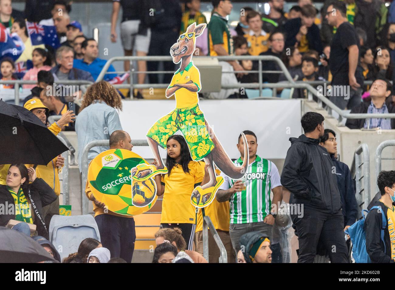 Fans cheer during FIFA World Cup Qatar 2022 Qualification match between ...