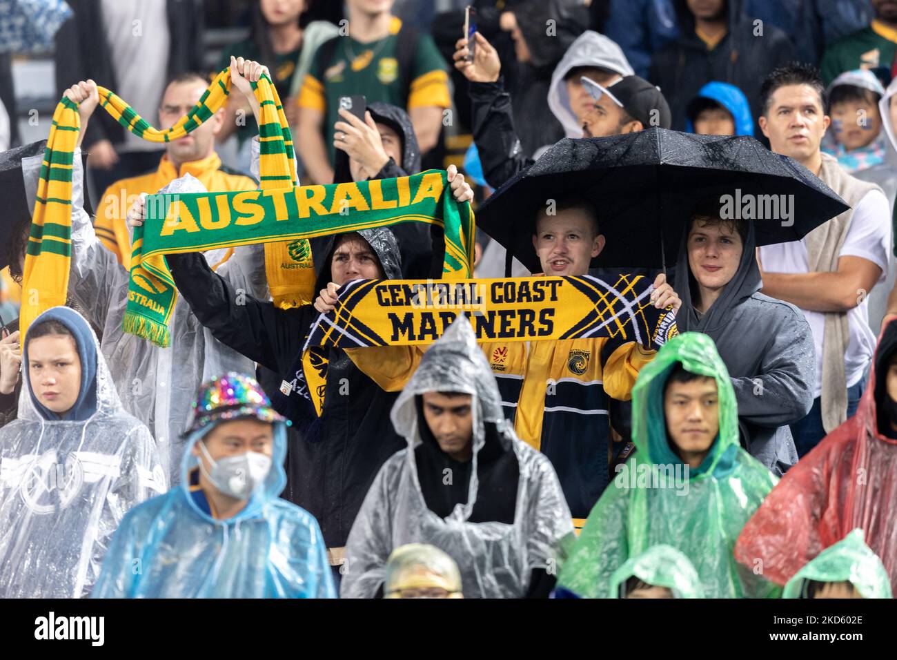 Socceroos fans cheer during FIFA World Cup Qatar 2022 Qualification ...