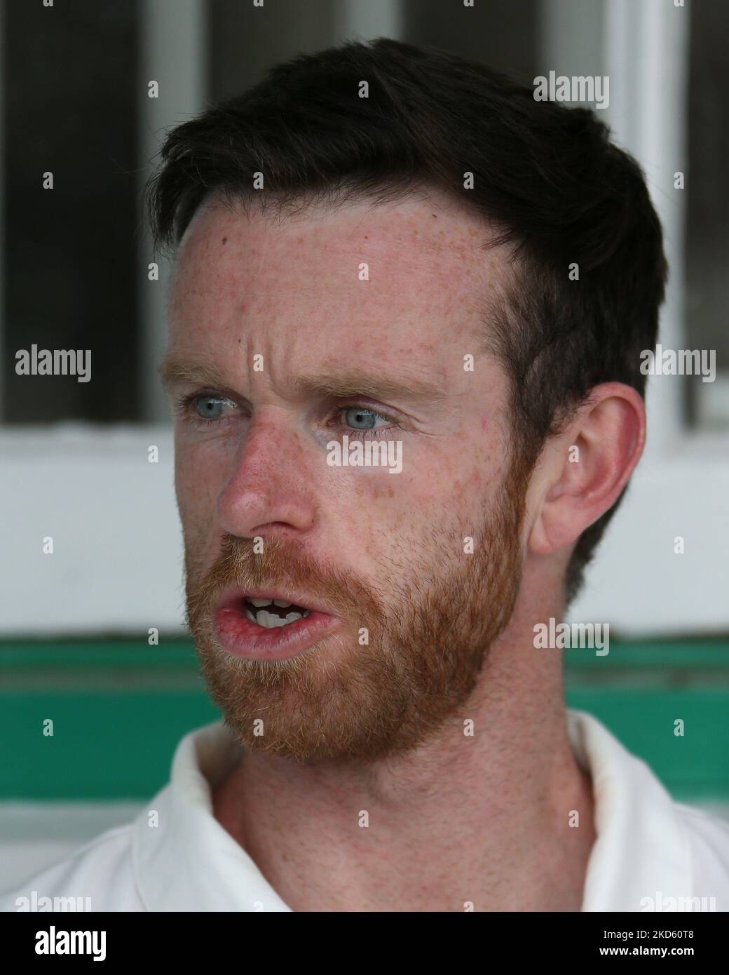 Cricket season 2022 hi-res stock photography and images - Alamy