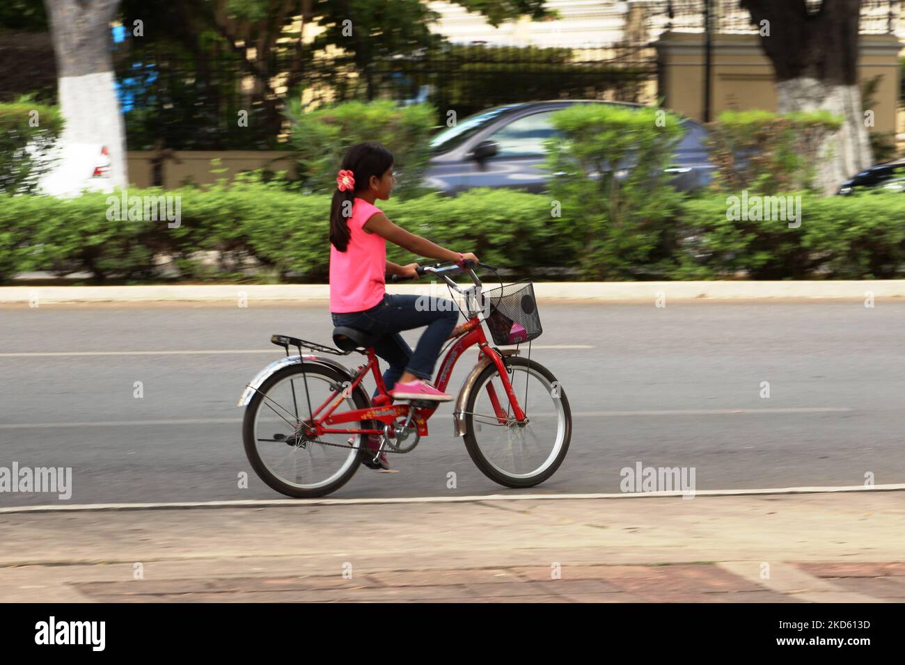 MERIDA, MEXICO - OCTOBER 9, 2016 Sunday cycling on the Paseo de Montejo ...
