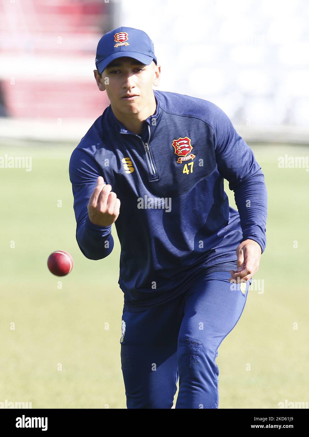 Robin foto hi-res stock photography and images - Alamy