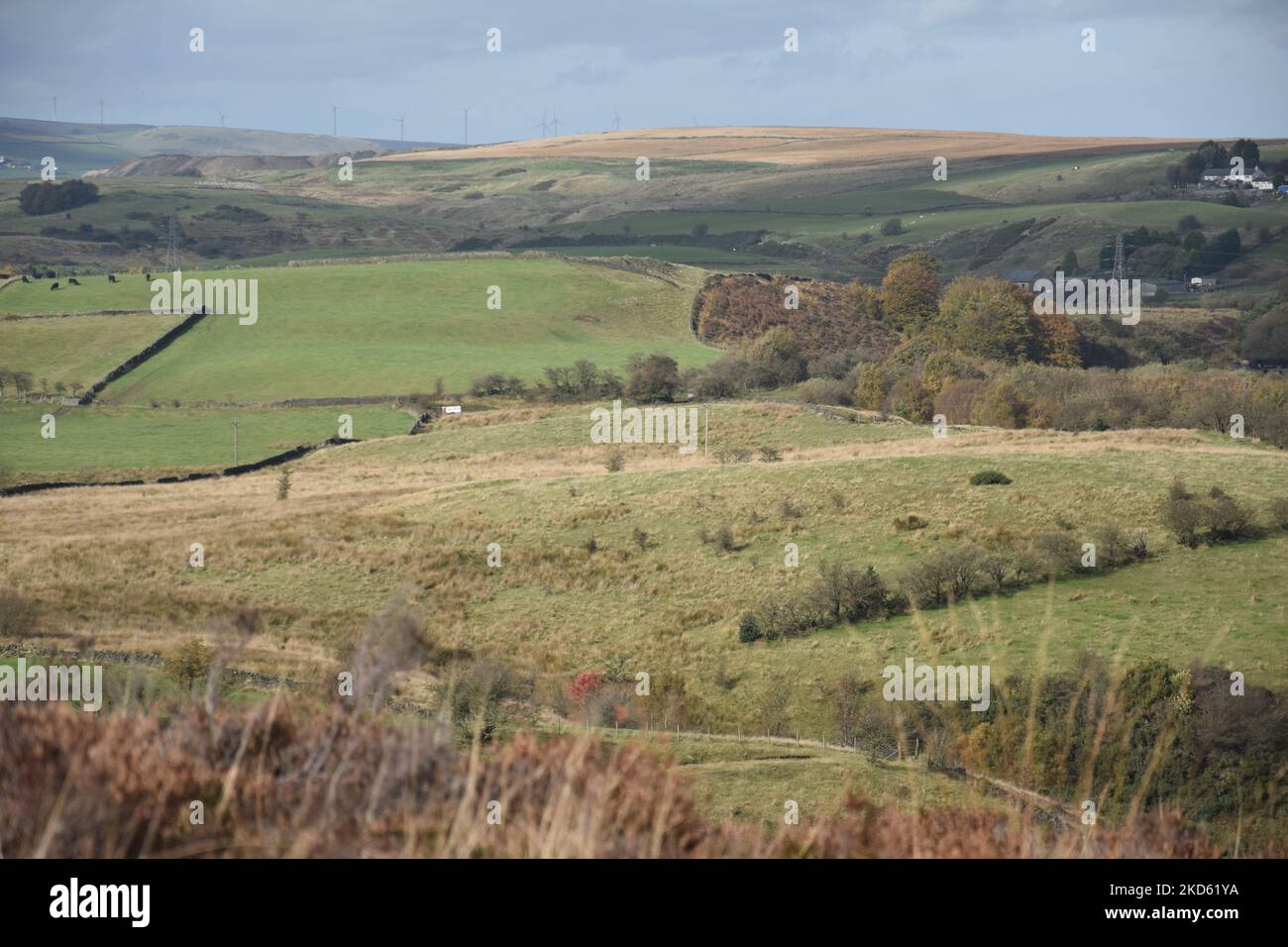 A green valley with a blue cloudy sky in the background, Bury ...