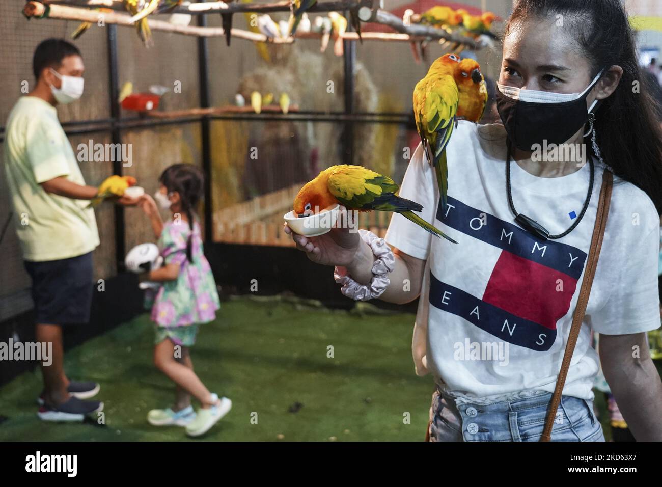 International pet variety exhibition hi-res stock photography and ...