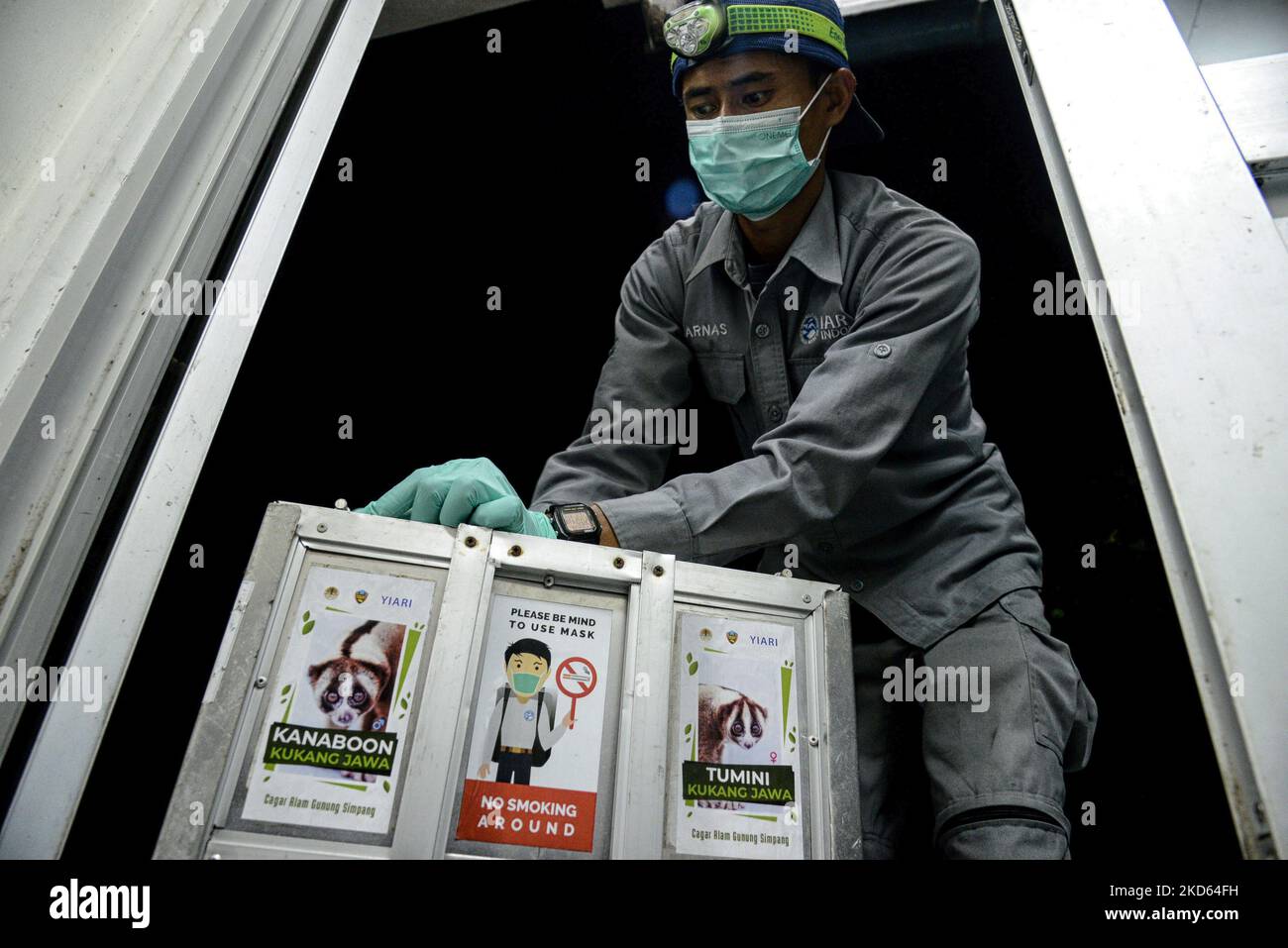 A officer carries a Javan slow loris in a cage before released into the ...