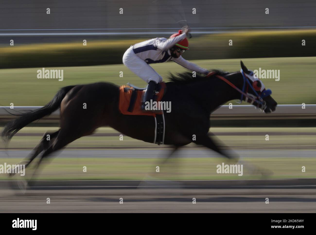 A jockey and a horse during a race to commemorate the 79th Anniversary ...