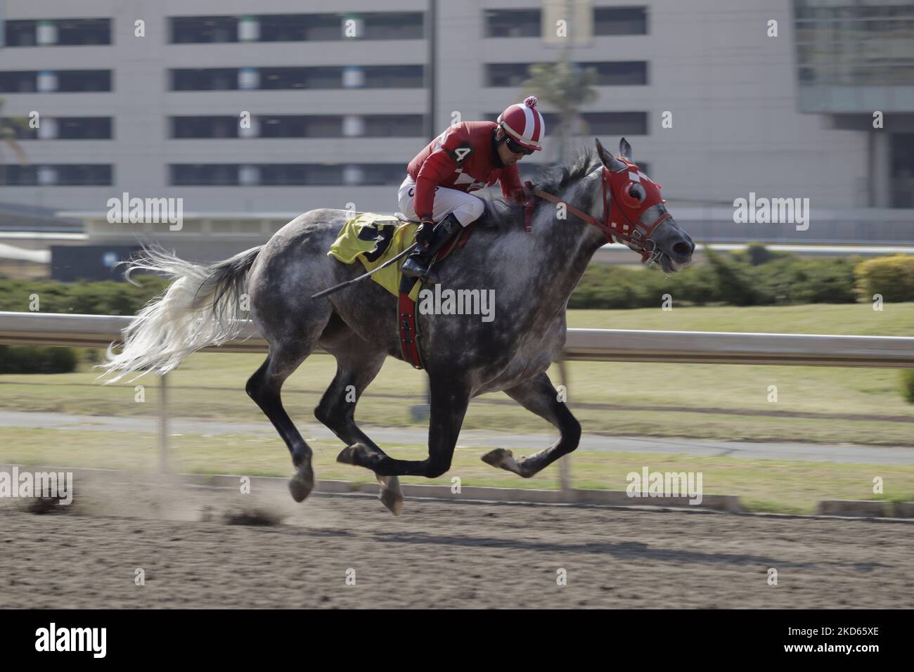 A jockey and a horse during a race to commemorate the 79th Anniversary ...