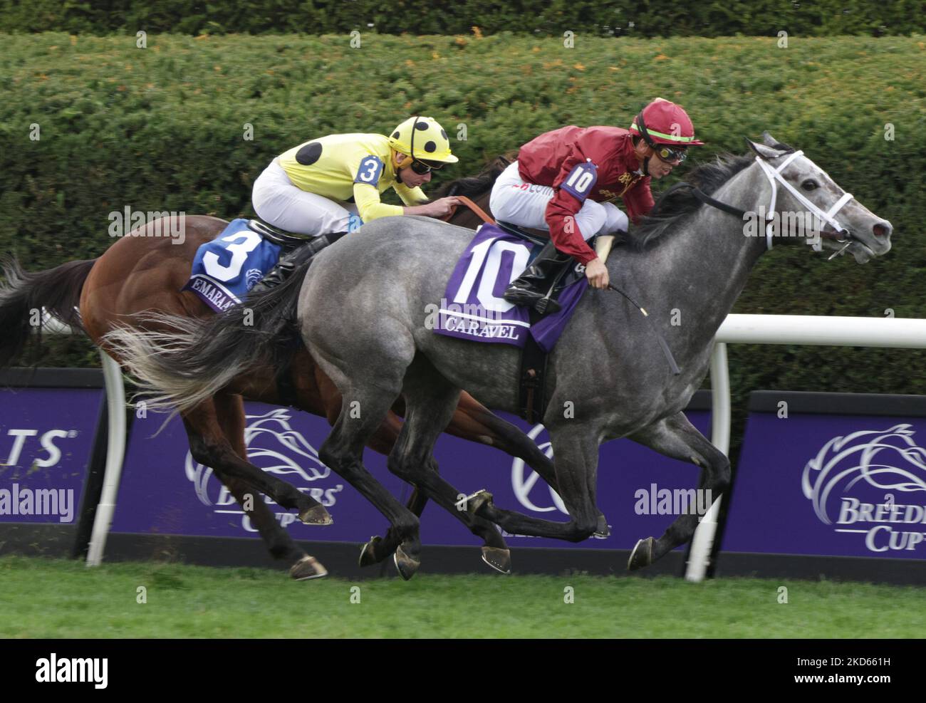 Lexingtion, United States. 05th Nov, 2022. Caravel, ridden by Tyler ...