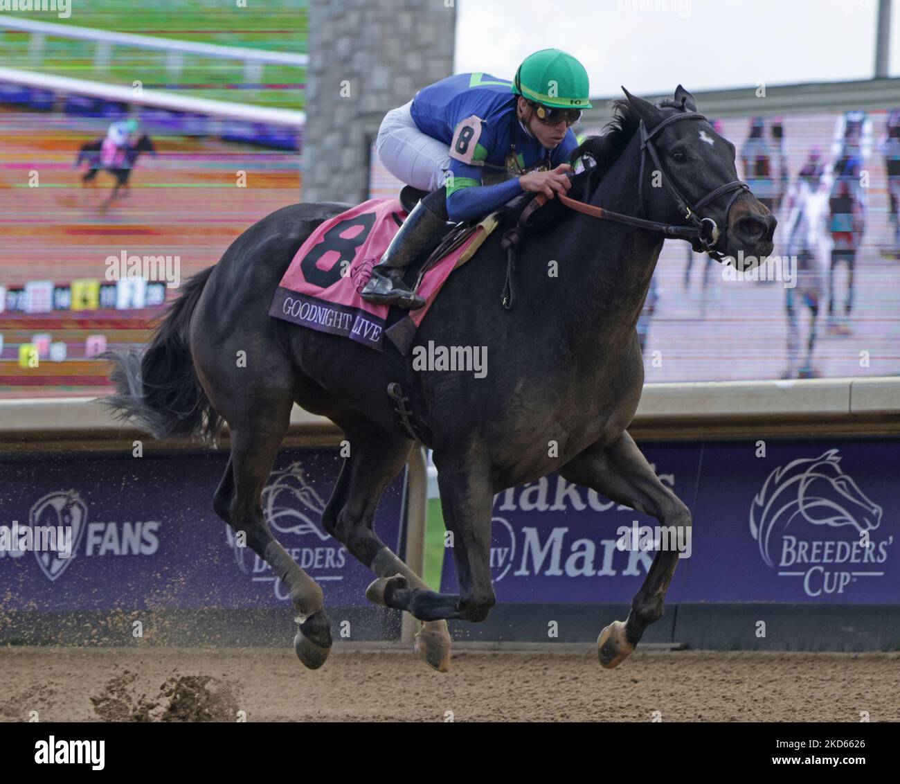 Lexingtion, United States. 05th Nov, 2022. Goodnight Olive, Jose Ortiz ...