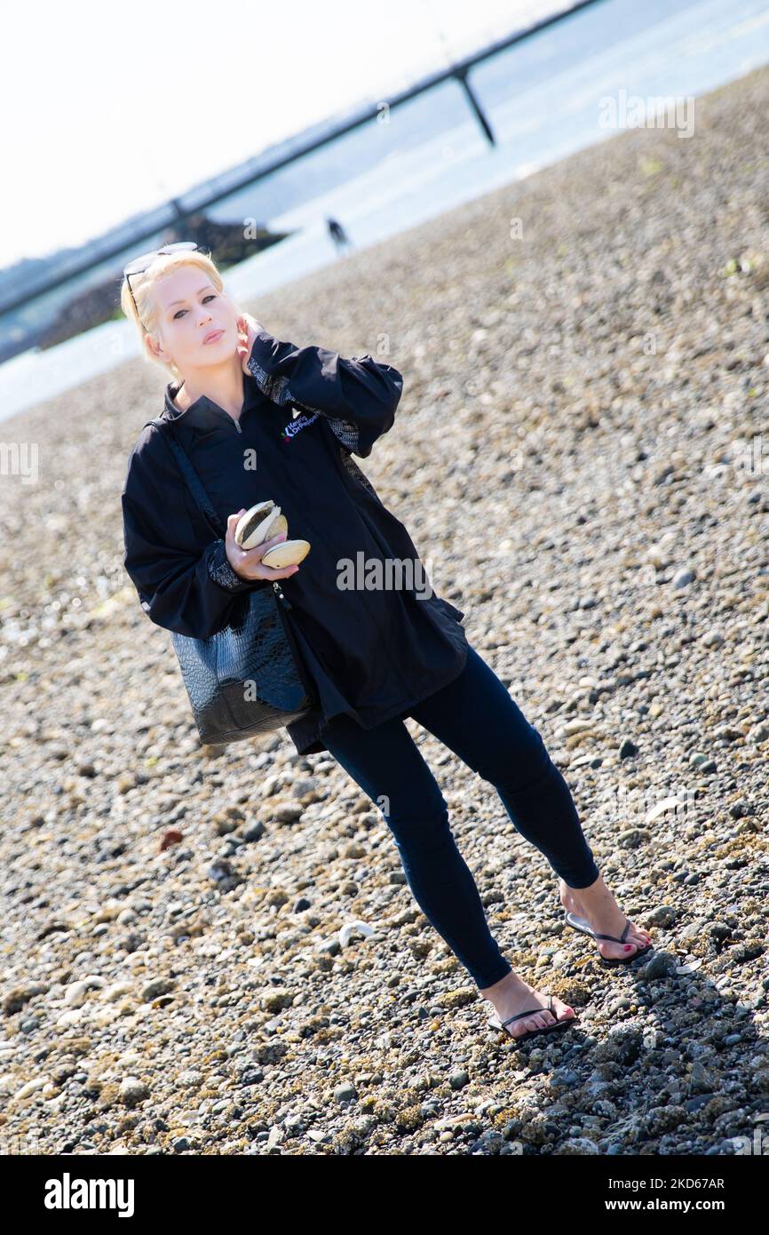 Pretty woman collecting sea shells Stock Photo - Alamy