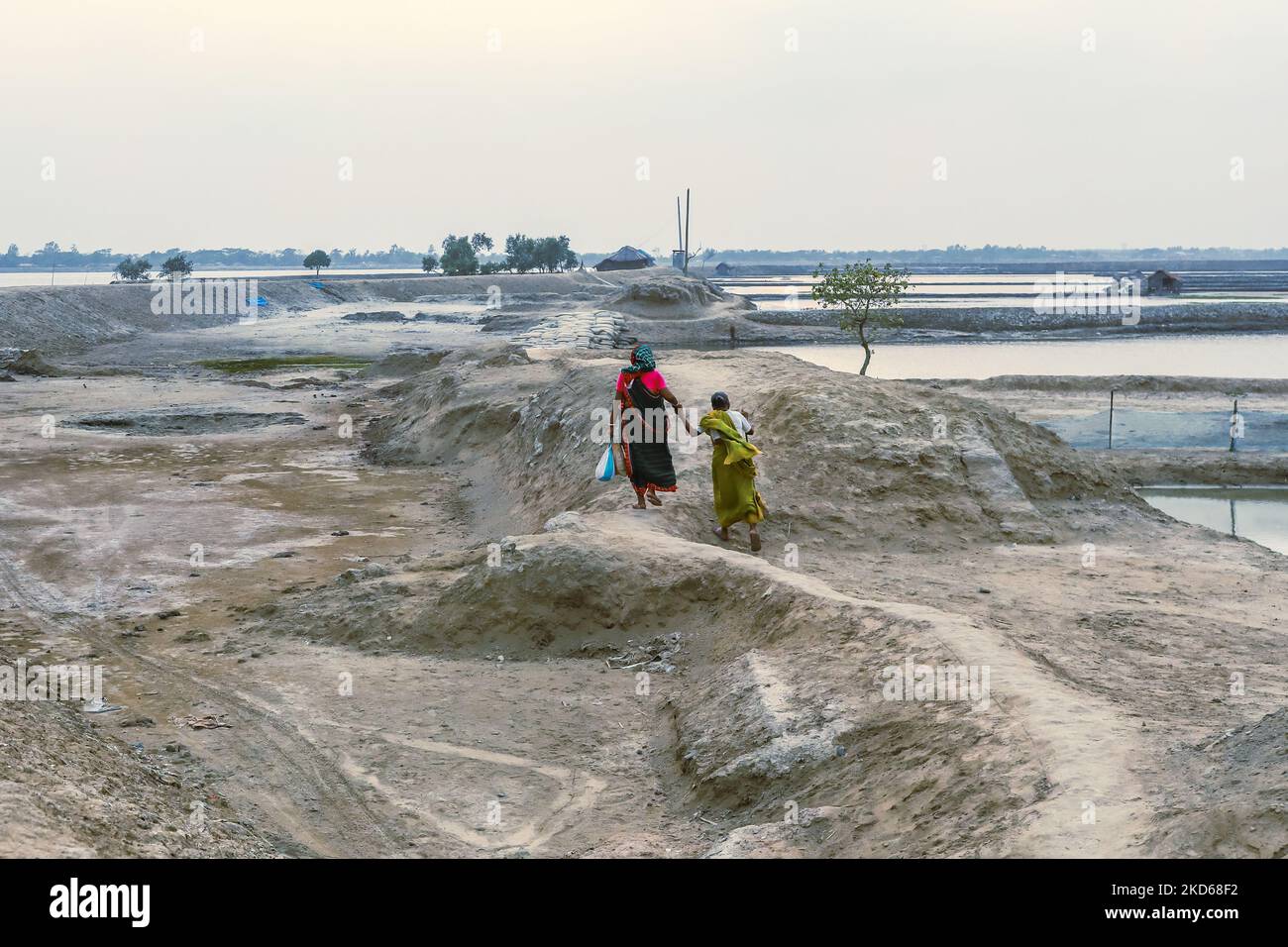 Salinity effect seen in soil as a result trees has died after Cyclone ...