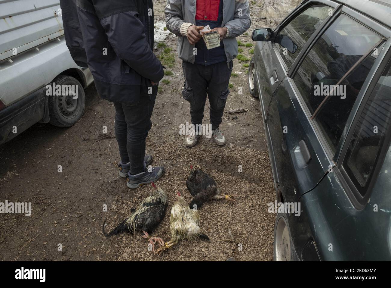 A vendor counts Iranian banknotes while standing with his client next ...