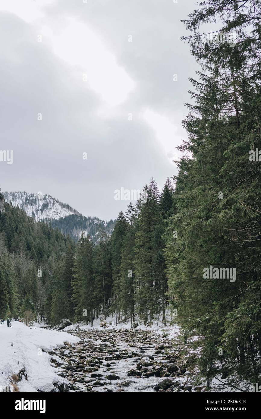 Natural stream in Koscieliska Valley in Tatra Mountains during winter ...