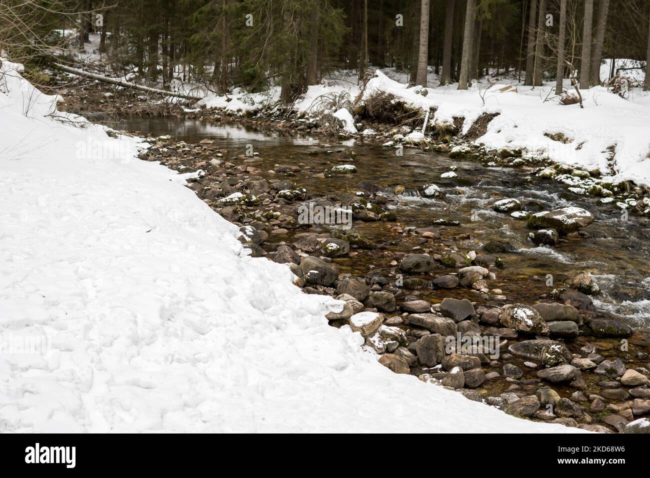 Natural stream in Koscieliska Valley in Tatra Mountains during winter ...