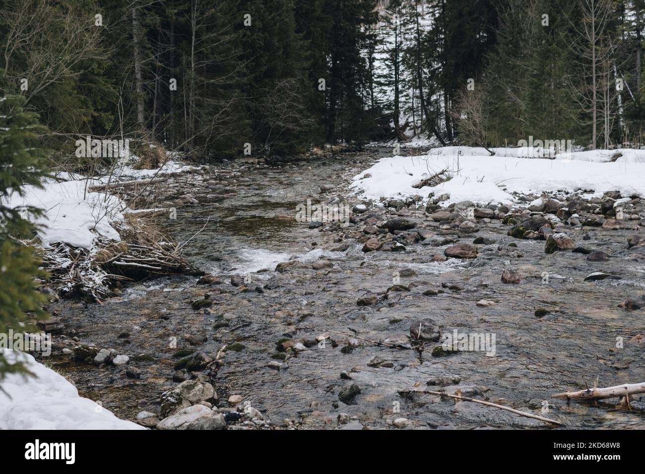 Natural stream in Koscieliska Valley in Tatra Mountains during winter ...