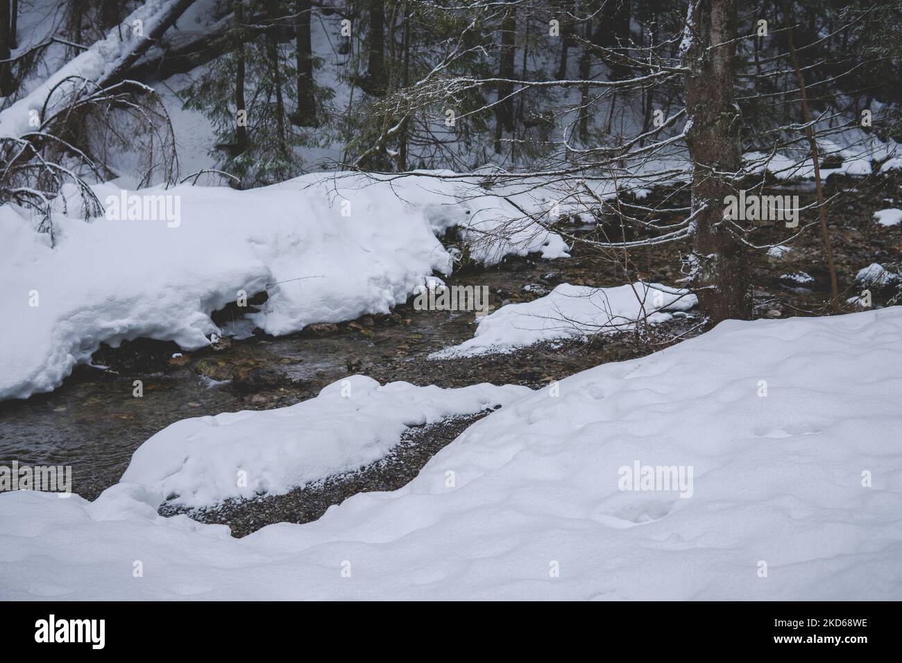 Strazyski stream in Strazyska Valley in Tatra National Park in Poland ...