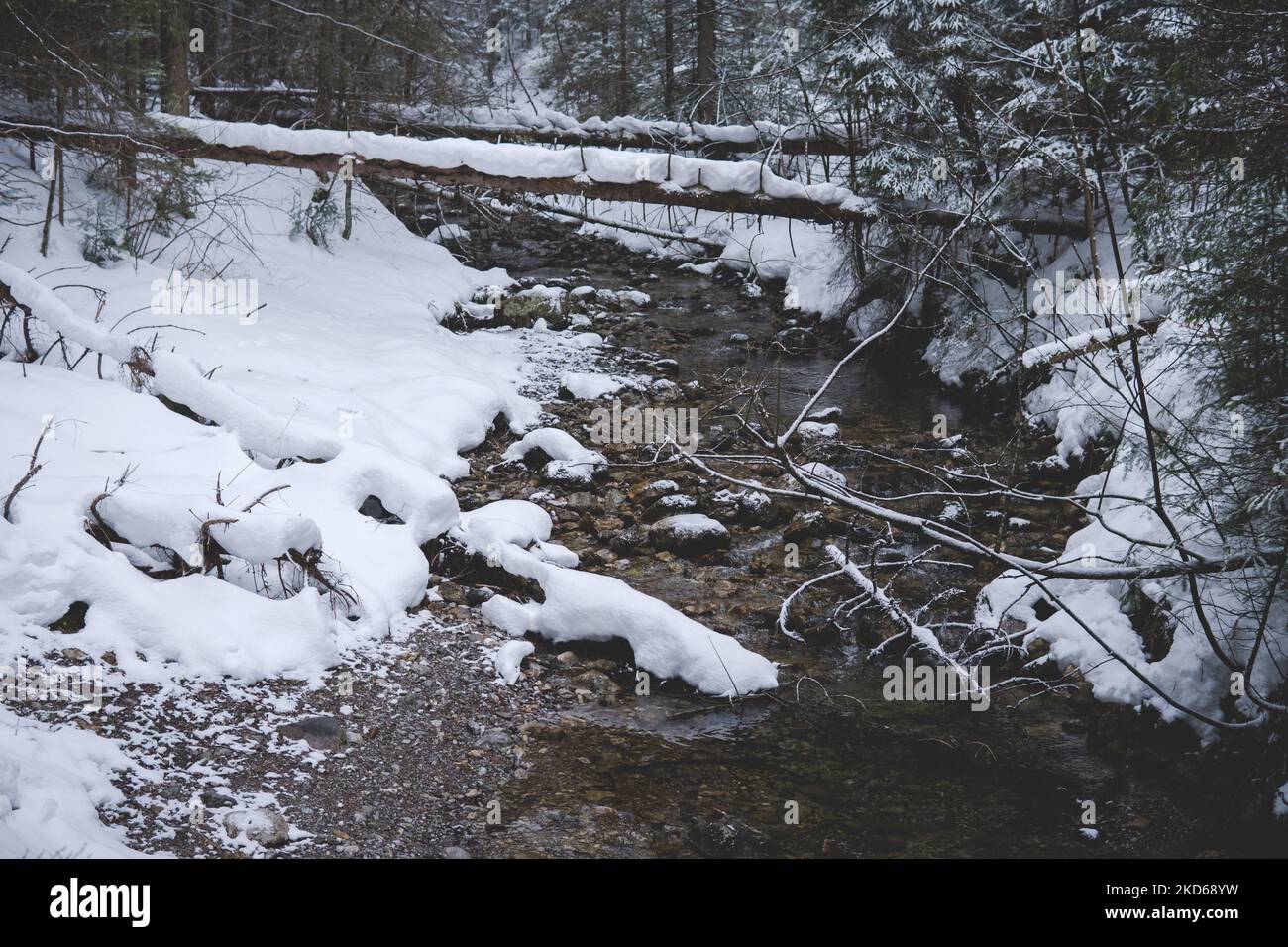 Strazyski stream in Strazyska Valley in Tatra National Park in Poland ...