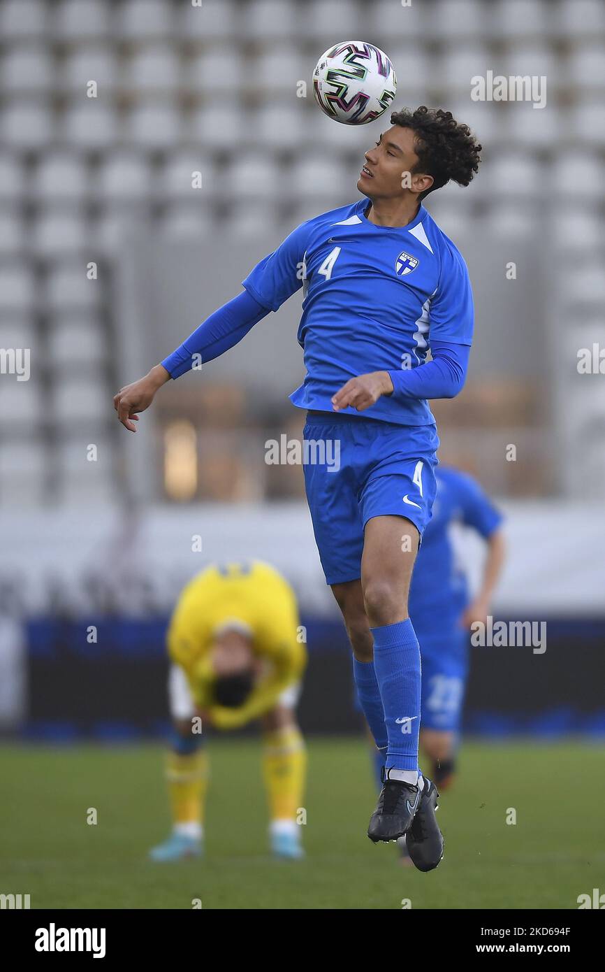 Robin tihi hi-res stock photography and images - Alamy