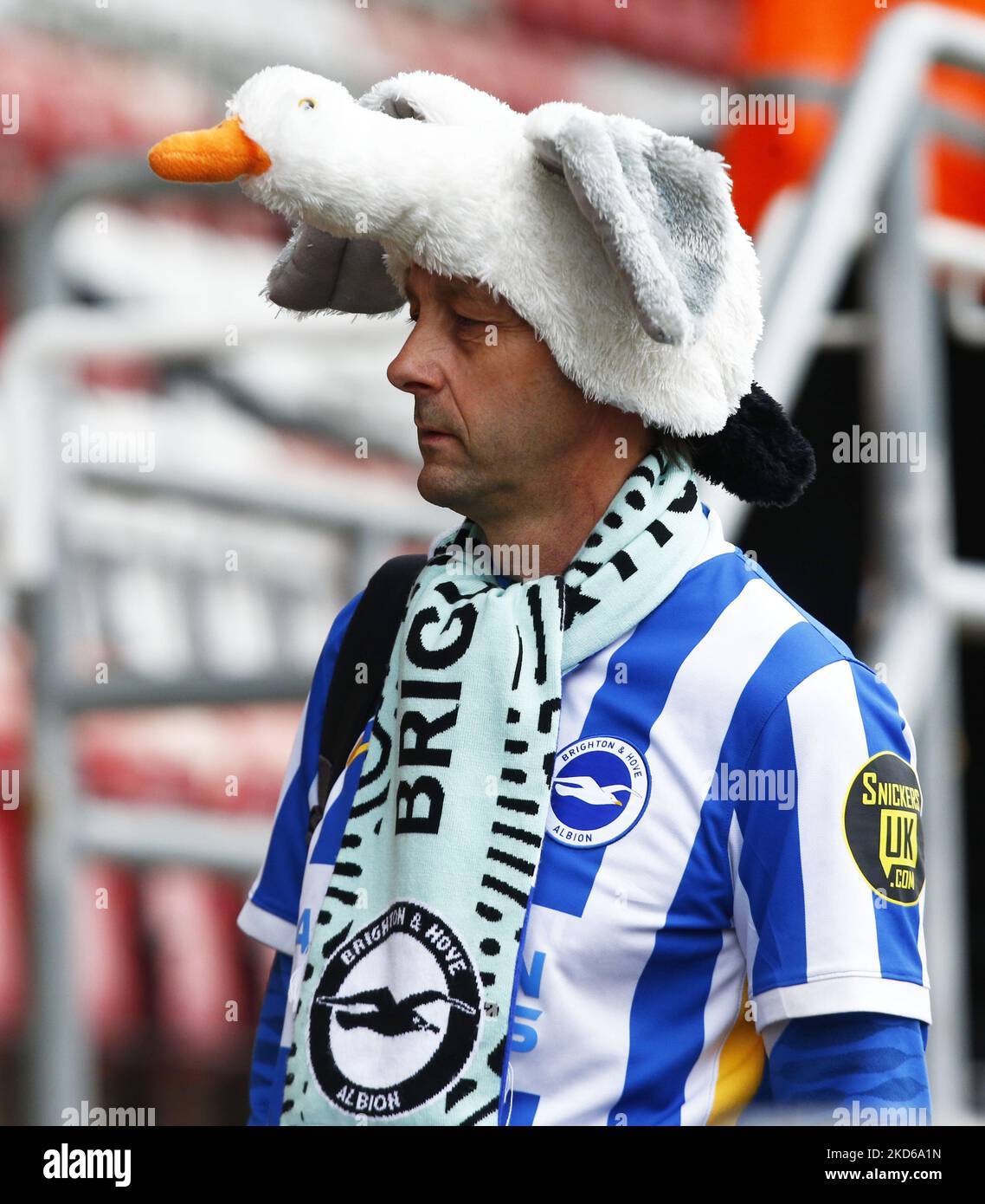 Brighton Fan during Barclays FA Women's Super League match between West ...
