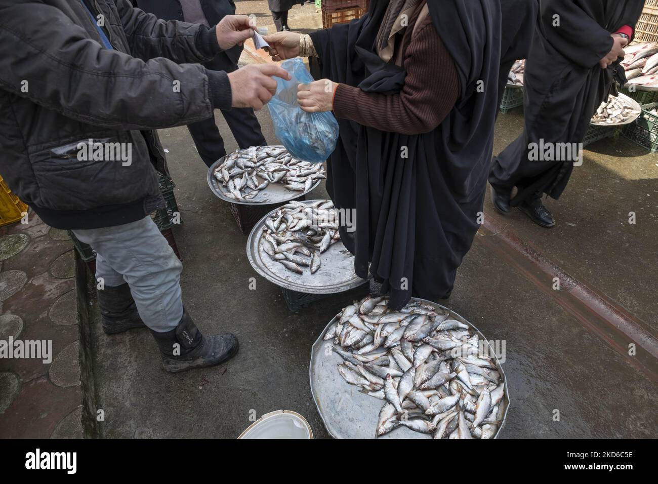 Fish market tehran iran hi-res stock photography and images - Alamy