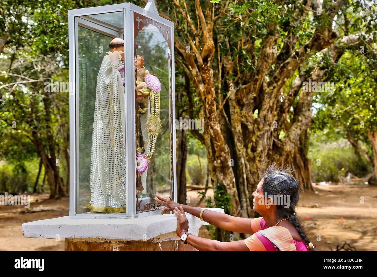 Tamil Catholic devotee offers prayers at a small shrine dedicated to a ...