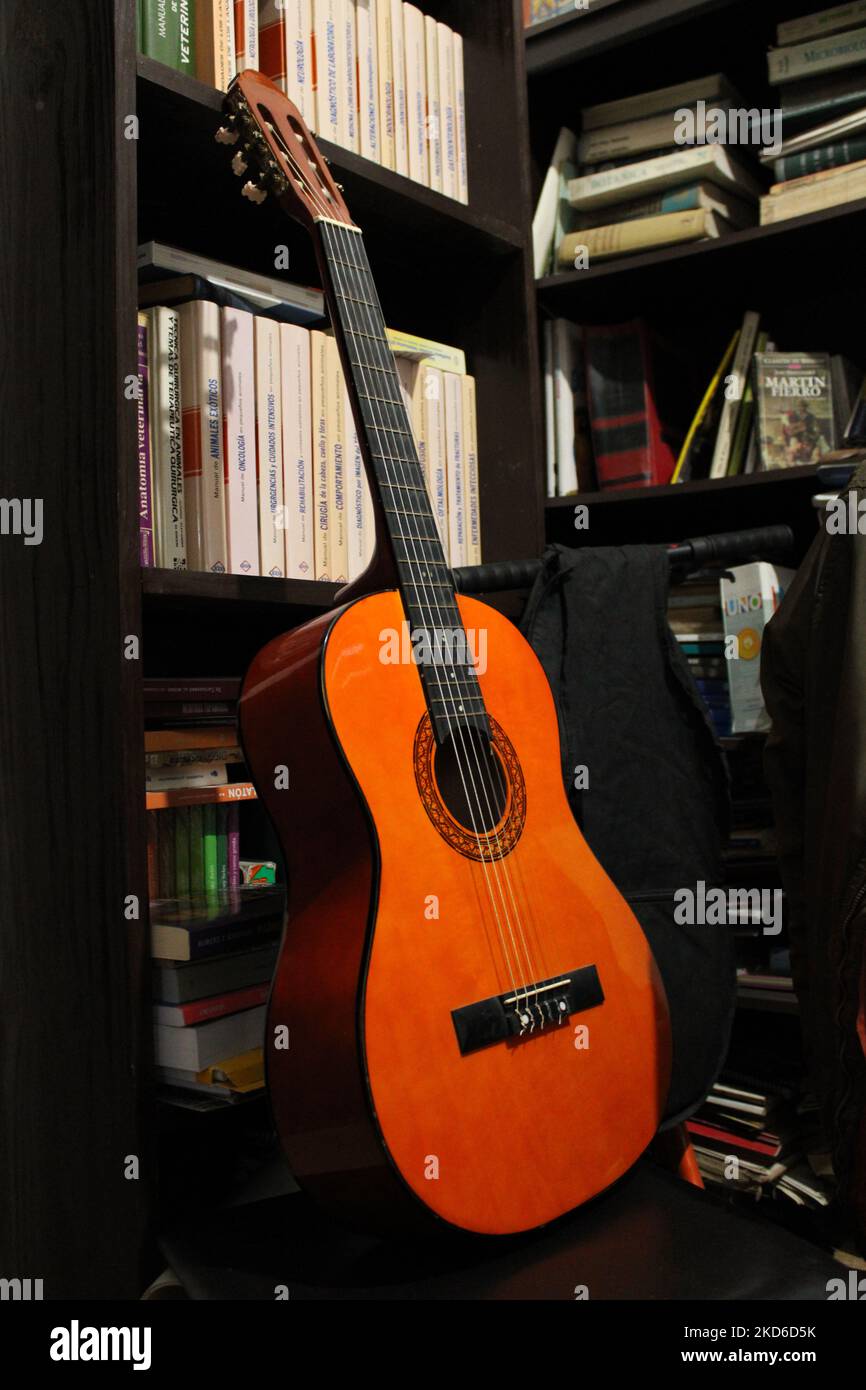 Classic guitar as the main subject, next to two bookcases full of books ...