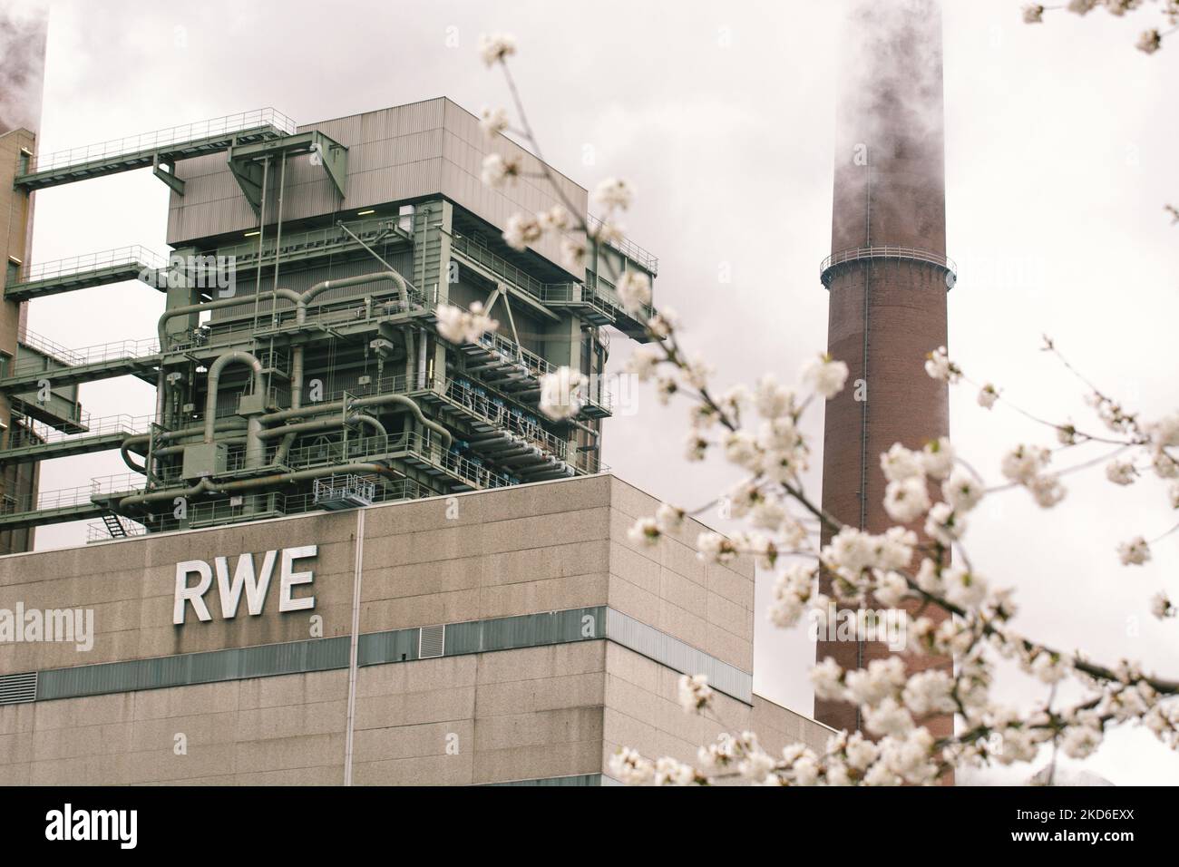 Steam is seen from cooling towers of German energy giant RWE power AG ...