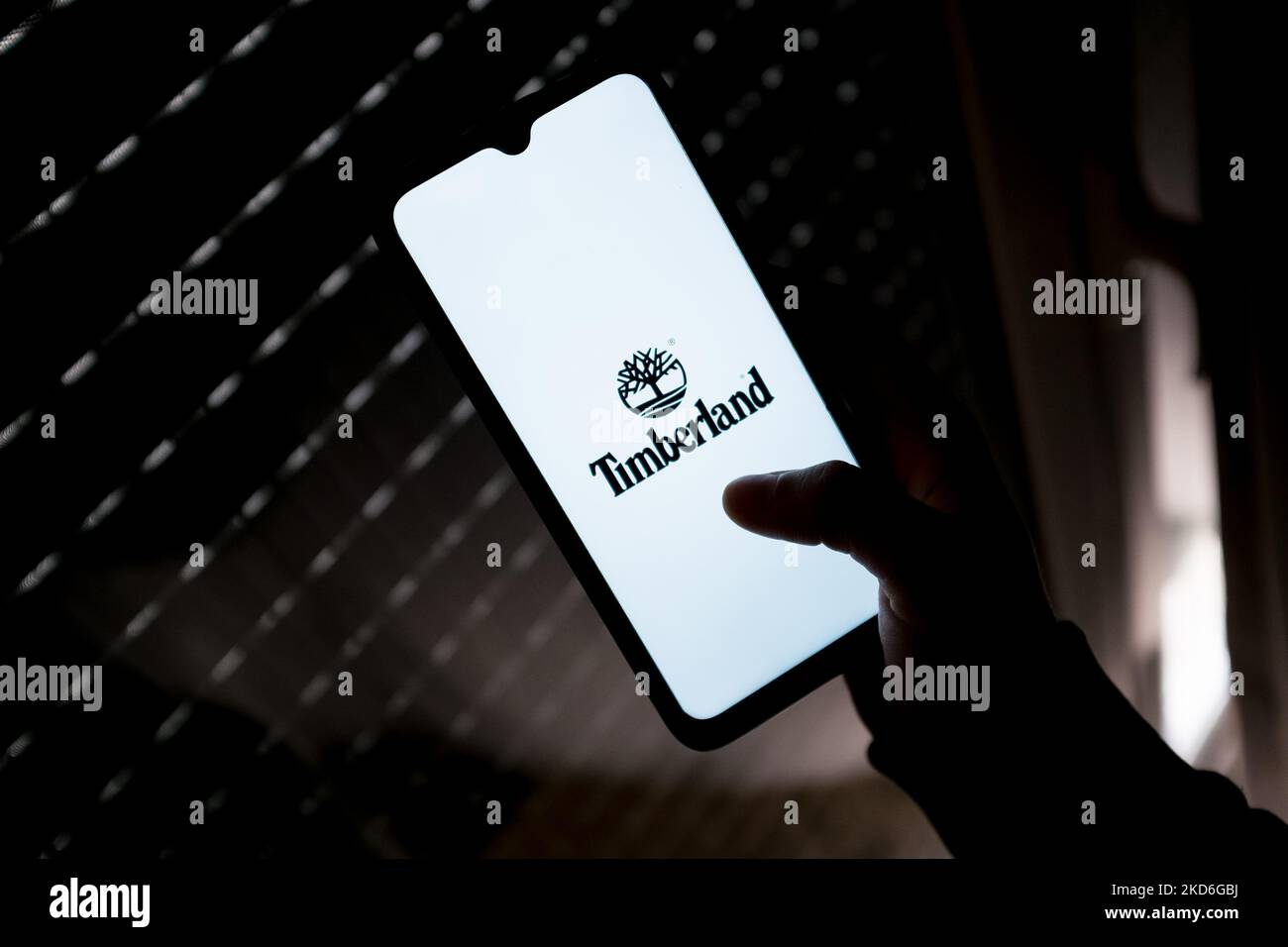 In this photo illustration a Timberland logo seen displayed on a ...