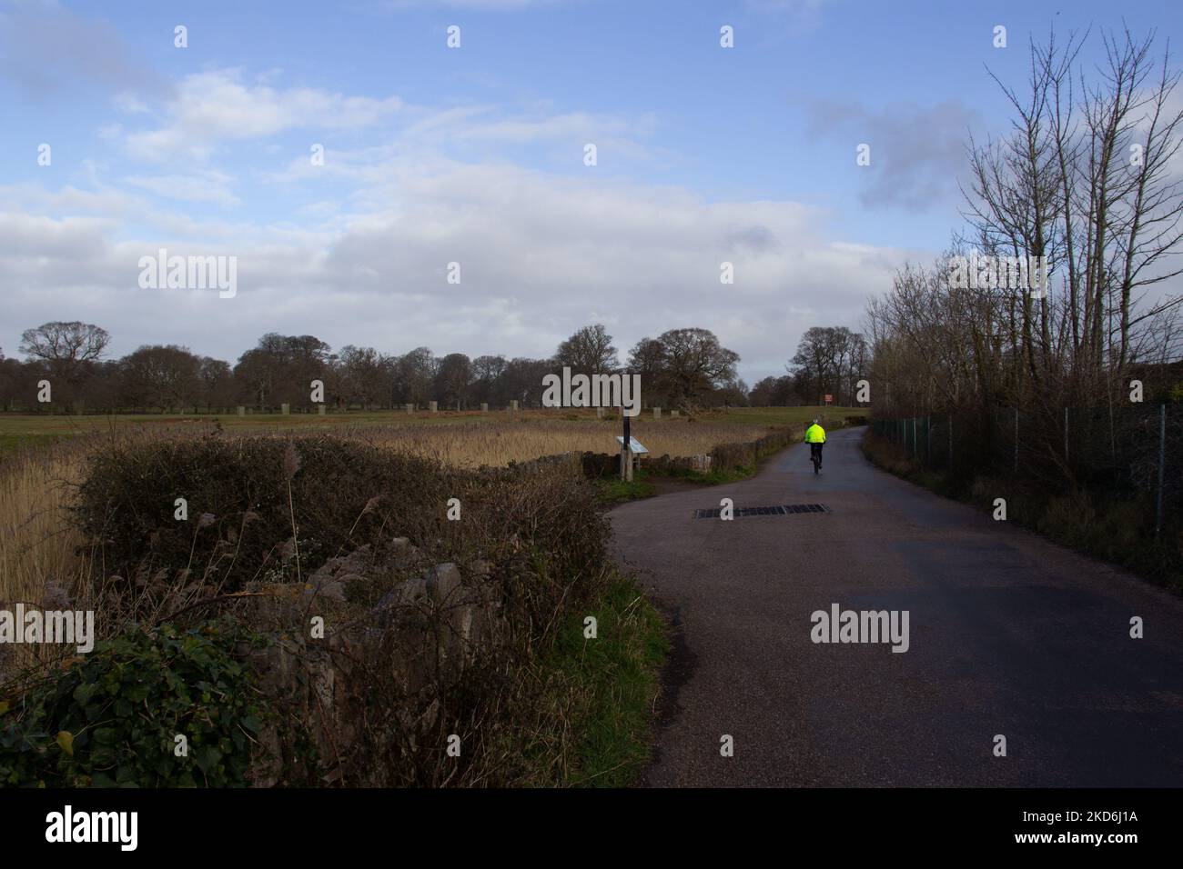 shared-use path with a single cyclist and hedges on the sides with a ...